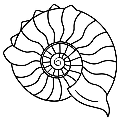 Premium Vector Ammonite Shell Walks Icon Vector Illustration