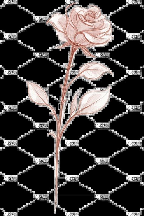常规内容 植物系列插画风玫瑰花卉素材 花瓣网