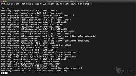 在 Ubuntu 2004 上通过 Apt Get 安装 Openresty Openresty 官方博客