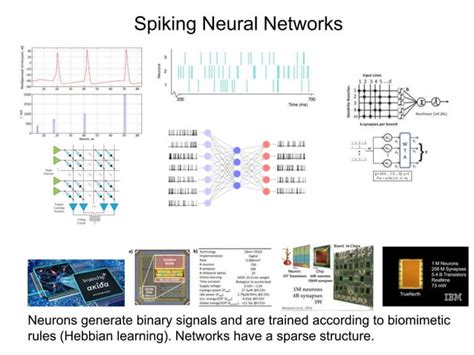 Integrate And Fire Neuron Model With Stdp Plasticity Bounded By Neurotransmitter Receptor Pool Ppt