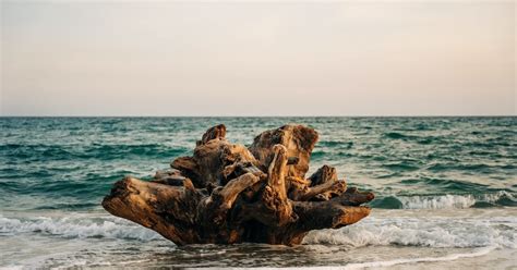 WAZIPOINT Engineering Science Technology How Do Your Blog S Schema Markup