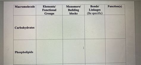Macromolecule Function S Elements Functional Groups Chegg Com