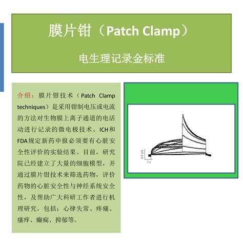 心脏电生理外包服务价格详情介绍 960化工网 960化工网