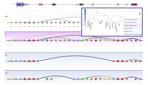 GRASP User Guide GRASP Suite