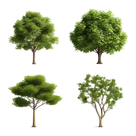 Modelado De Arbol Arbolito Azul Estimulación Temprana