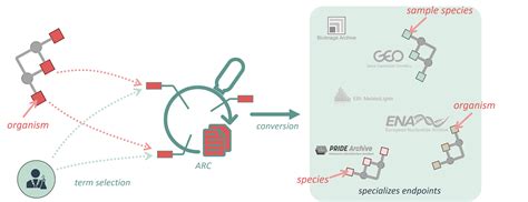 Arc Shared Vocabulary Shared Comprehension