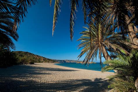 Greece Vai Beach And Palm Trees Crete License Image 13877029