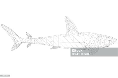 와이어 프레임 낮은 폴리 블루 상어 3d 측면 보기 벡터 일러스트레이션 기하 도형에 대한 스톡 벡터 아트 및 기타 이미지 기하 도형 3차원 형태 검은색 Istock