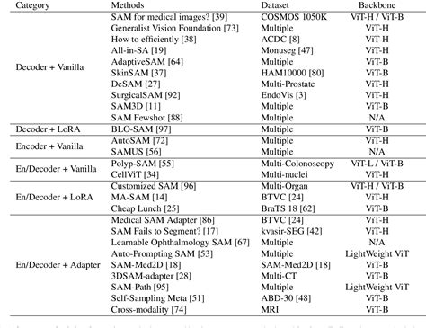 how to build the best medical image segmentation algorithm using foundation models a