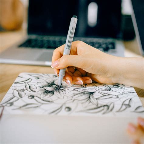 Drawing The Drawing Beginner S Guide
