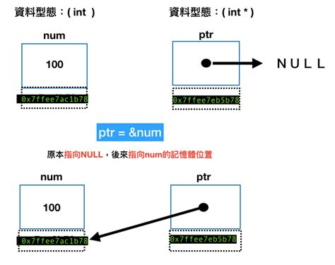 指標函式與函式指標陣列 — Function Pointers Array Of Function Pointer By Sharon