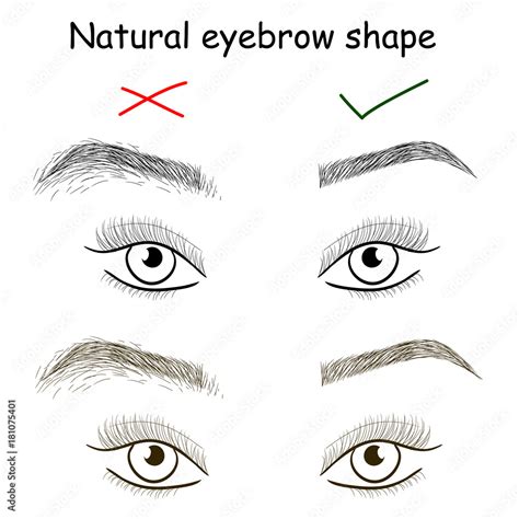 Natural Eyebrow Shapes