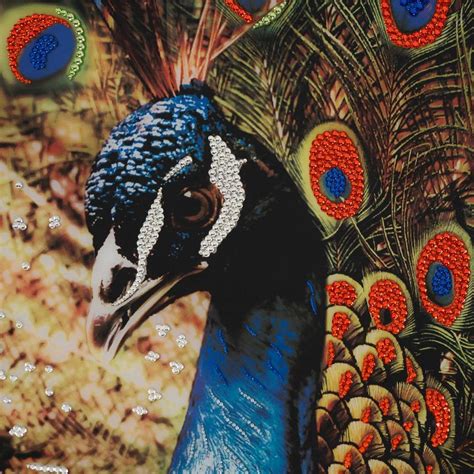 Peacock Wall Decor Buy Online Unique Peacock Wall Sticker And Decal From
