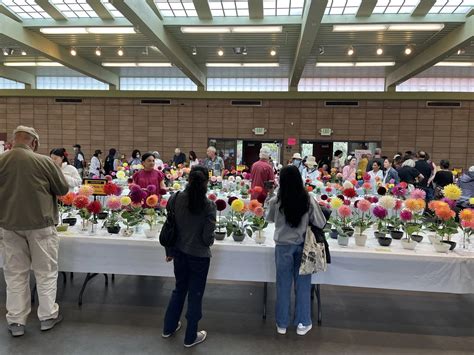 Dahlia Society Of California San Francisco