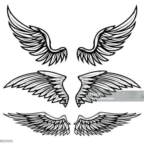 흰색 배경에 고립 된 빈티지 벡터 날개 세트입니다 로고 상표 상징 표시 상표 표를 위한 디자인 성분 벡터 일러스트 레이 션 거위 새에 대한 스톡 벡터 아트 및 기타 이미지