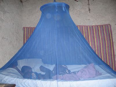 Malaria Simple English Wikipedia The Free Encyclopedia