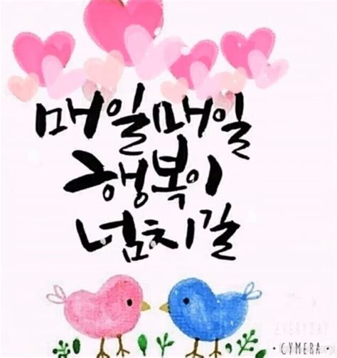 비오는 수요일 좋은 하루 되세요 꿀팁 캐시피드