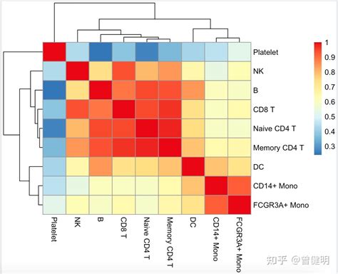 单细胞各个亚群基因按照平均表达量排序后gsea分析 知乎