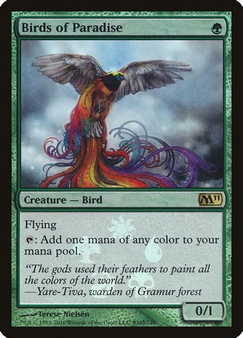 Birds Of Paradise Magic