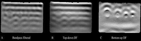 Directional Filter Local Frequency Estimate And Algebraic Inversion Of Differential Equation Of