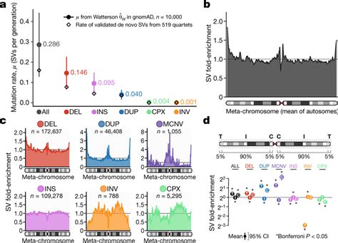 Genome Wide Mutational Patterns Of Svs A Mutation Rates μ From The