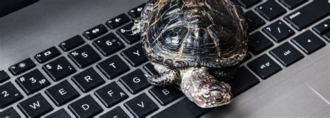 Slow Laptop 15 Fixes To Speed Up Your PC