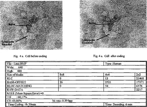 Figure 4 From A Lossless Image Compression Algorithm Using Variable
