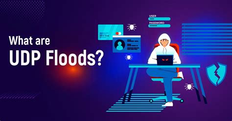 What Are Udp Floods Prophaze Blog