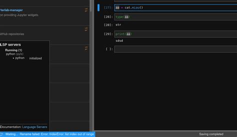 Rename Method Fails · Issue 235 · Jupyter Lspjupyterlab Lsp · Github