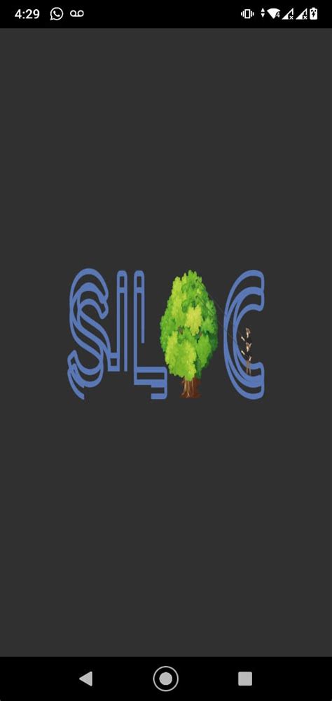 Vuejs Splash Screens Letters Are Double In Ionic Stack Overflow