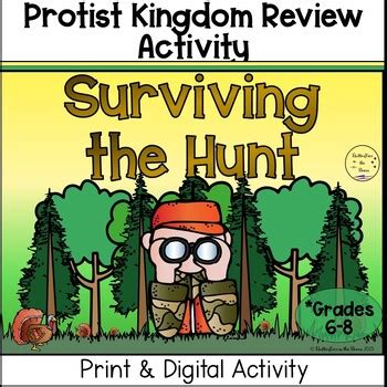 Protist Kingdom Review Activity By Butterflies In The Room TPT