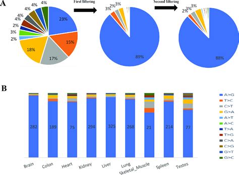 Distribution Of The Identified Rna Editing Sites Using Rna Seq Data In