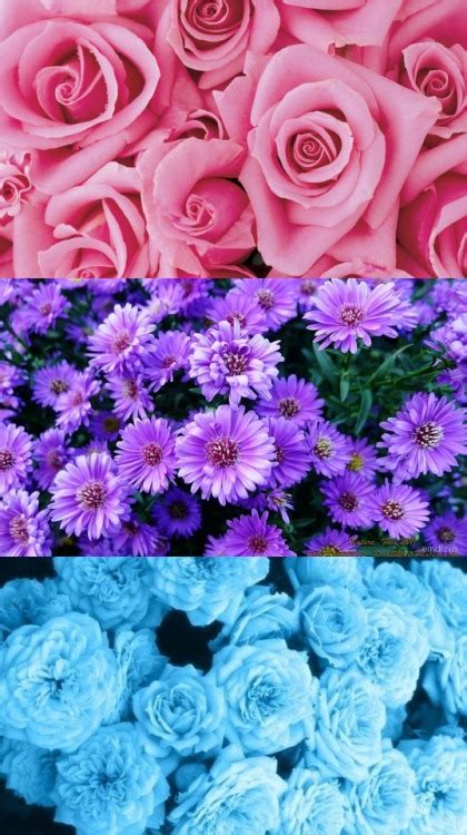 Subtle Ish Bi Lockscreens 💜 Tumbex