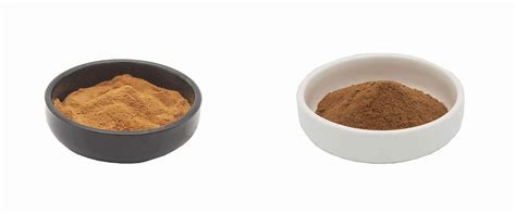 Bacillus Subtilis In Agriculture Uses For Plants Growth