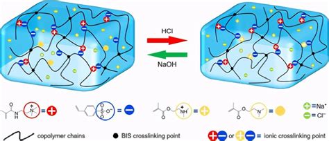 《macromolecules》ph响应 形状记忆 快修复 两性 聚电解质水凝胶 知乎