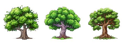 Premium Vector Elm Tree Set In Isolated White Background Elm Tree Clip Art Collection