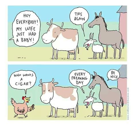 Pin By Michelle Havlicek On Chicken Memes Funny Cartoons Funny