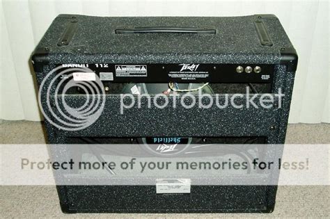 Pics Of Recent Peavey Combo Speaker Restorations Mods Page Peavey Forum