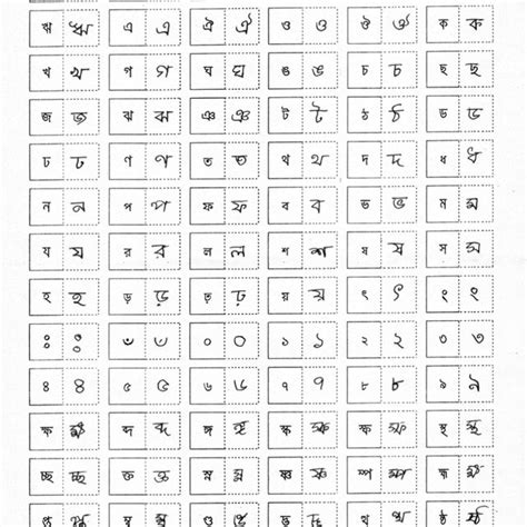 Example Of A Filled Data Collection Form Download Scientific Diagram