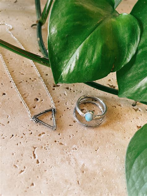 Water Element Twig Ring Botanical Stone