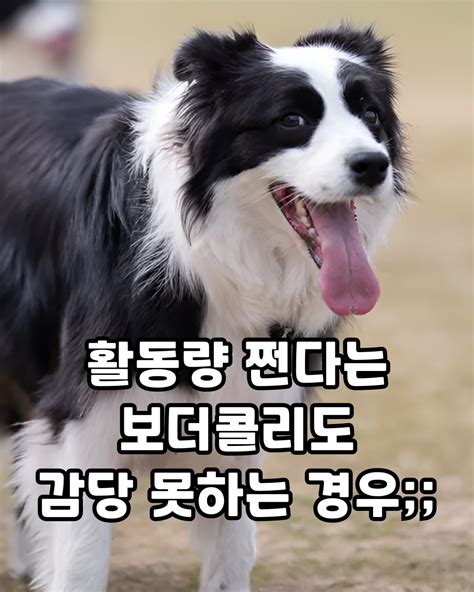 웃음폭탄 짤방으로 웃기고 웃자 🤣 도대체 이게 뭐야 유머스타그램 웃긴짤 재밌는영상 드립력 유머저장소 꿀잼보장 일상유머 웃음참기