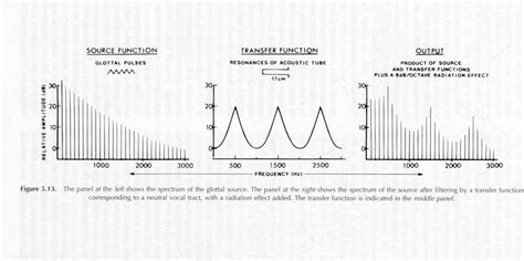 Source And Filter Diagram Quizlet