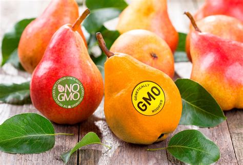Genetically Modified Food Label