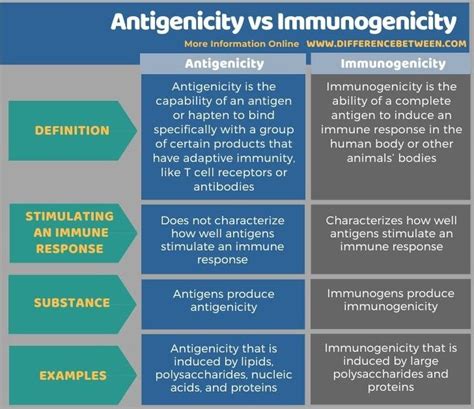 Difference Between Antigenicity And Immunogenicity