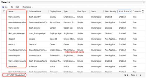 How To Create Entity Fields In Dynamics 365 Custom Fields