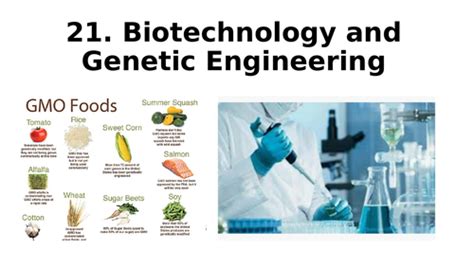Igcse Biology Cie Topic 21 Biotechnology And Genetic Engineering Teaching Resources