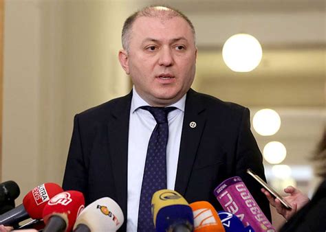 გრიგოლ ლილუაშვილი ფრანგულ მხარეს არასში თავდამსხმელის მამასთან დაკავშირებით საქართველოსთვის არ