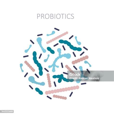 프로바이오틱스 박테리아 로고 비피더스 균 내장과 간 기능을 정상화하는 데 도움이되는 살아있는 미생물 프로바이오틱스는 면역 체계에