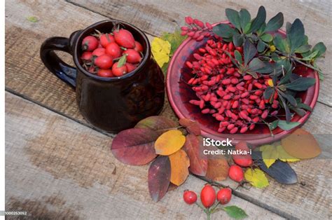 로즈의 전체 컵 딸기와 접시가 여러 나무 판자에 매 발톱 나무 열매의 잎과 열매 0명에 대한 스톡 사진 및 기타 이미지 0명 10월 11월 Istock