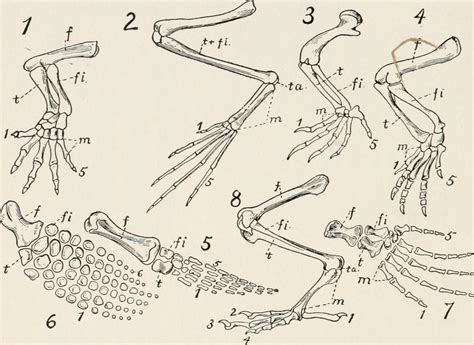 Mariadb And Ecosystem Fragmentation